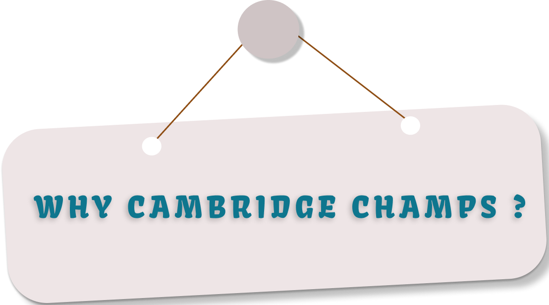 Franchise - cambridgechamp